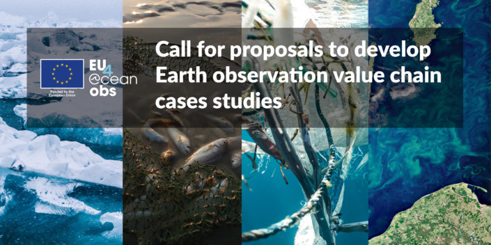 Call to develop Earth Observation value chain case studies - GEO Blue ...