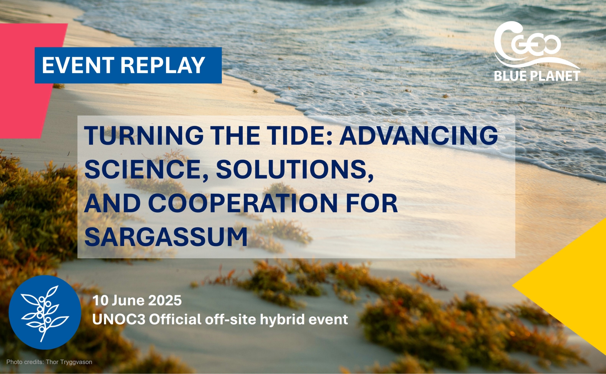 GeoBluePlanet Sargassum - GEO Blue Planet